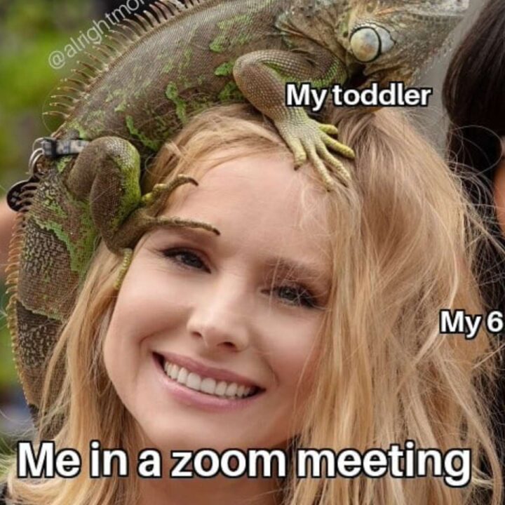 65 Most Hilarious Working from Home with Kids Memes - Victoria Hudgins